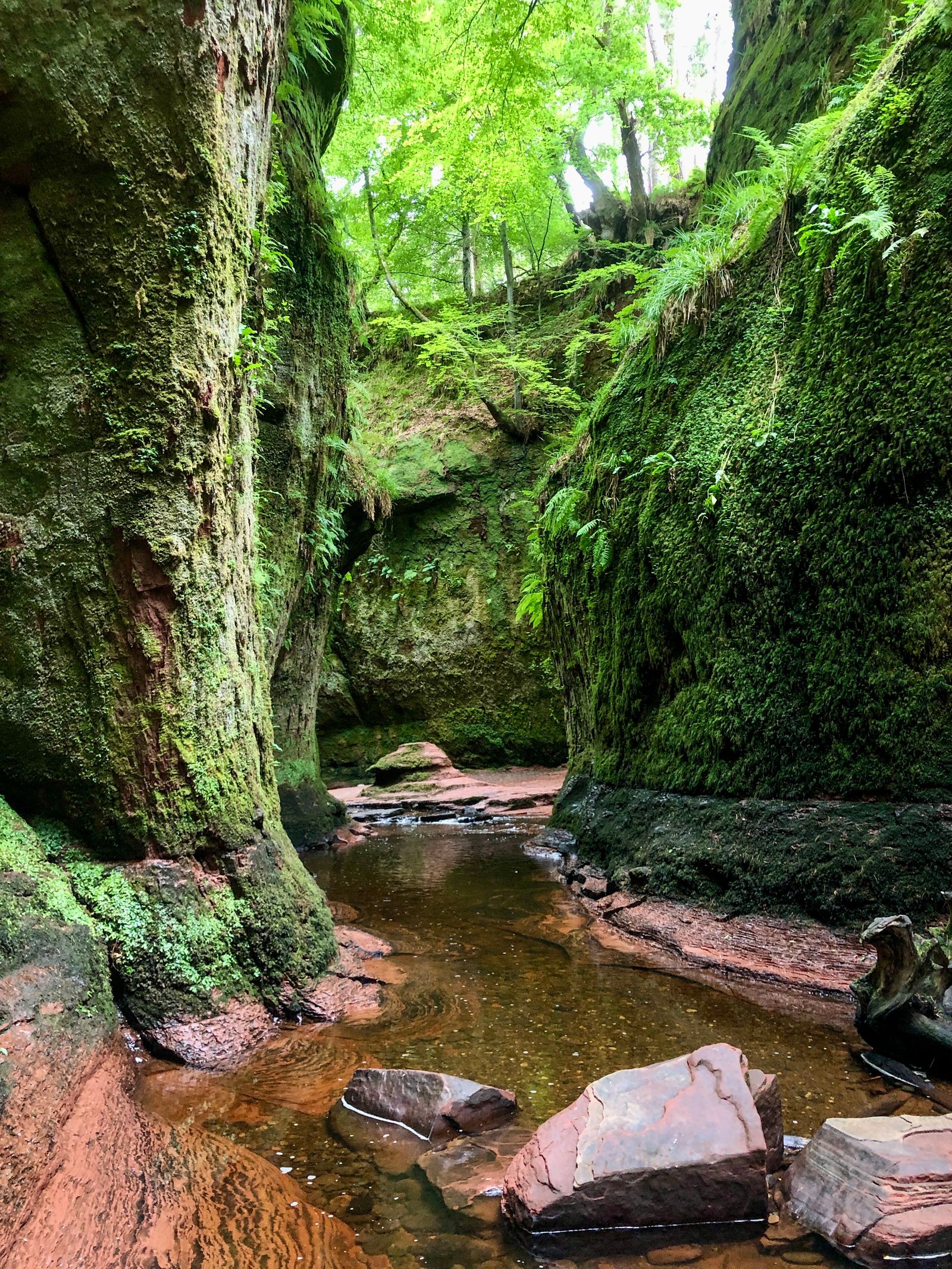 The Devil's Pulpit | Ultimate Guide to Visiting Finnich Glen